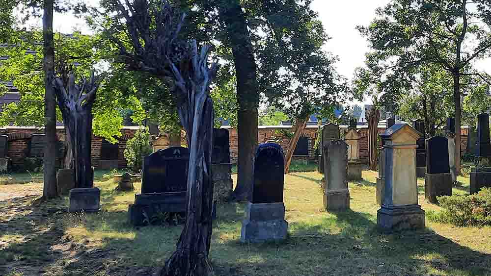 Jüdischer Friedhof in Guben: Pfarrer Michael Domke bewahrt Gräber und ...