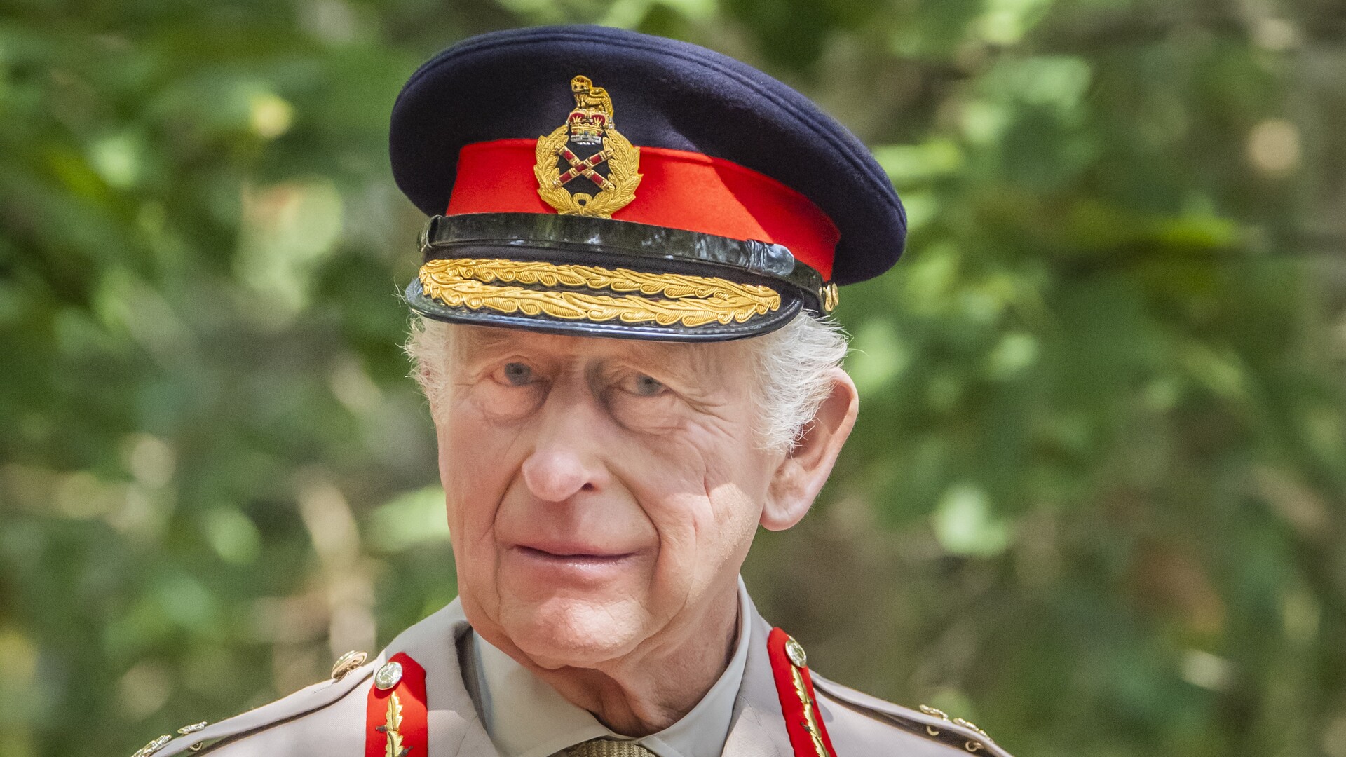 ‘Diplomatic immunity’: Shocking news of King Charles never owning a ...