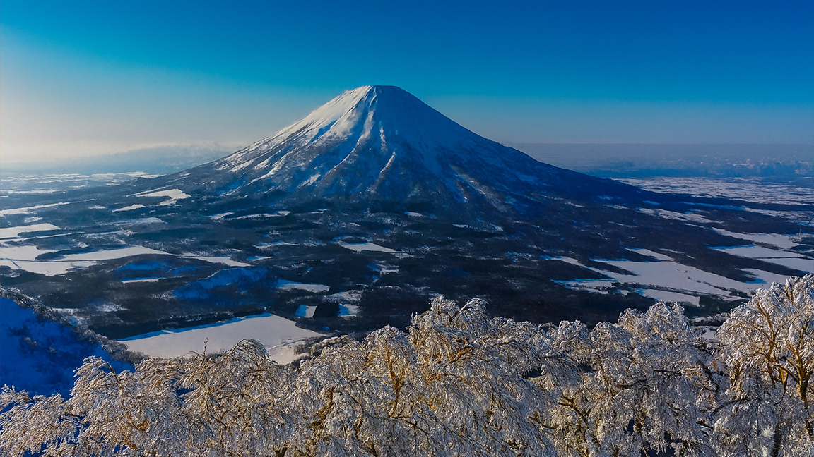 Nature’s Tranquility – A Calm Winter Walk (4K)