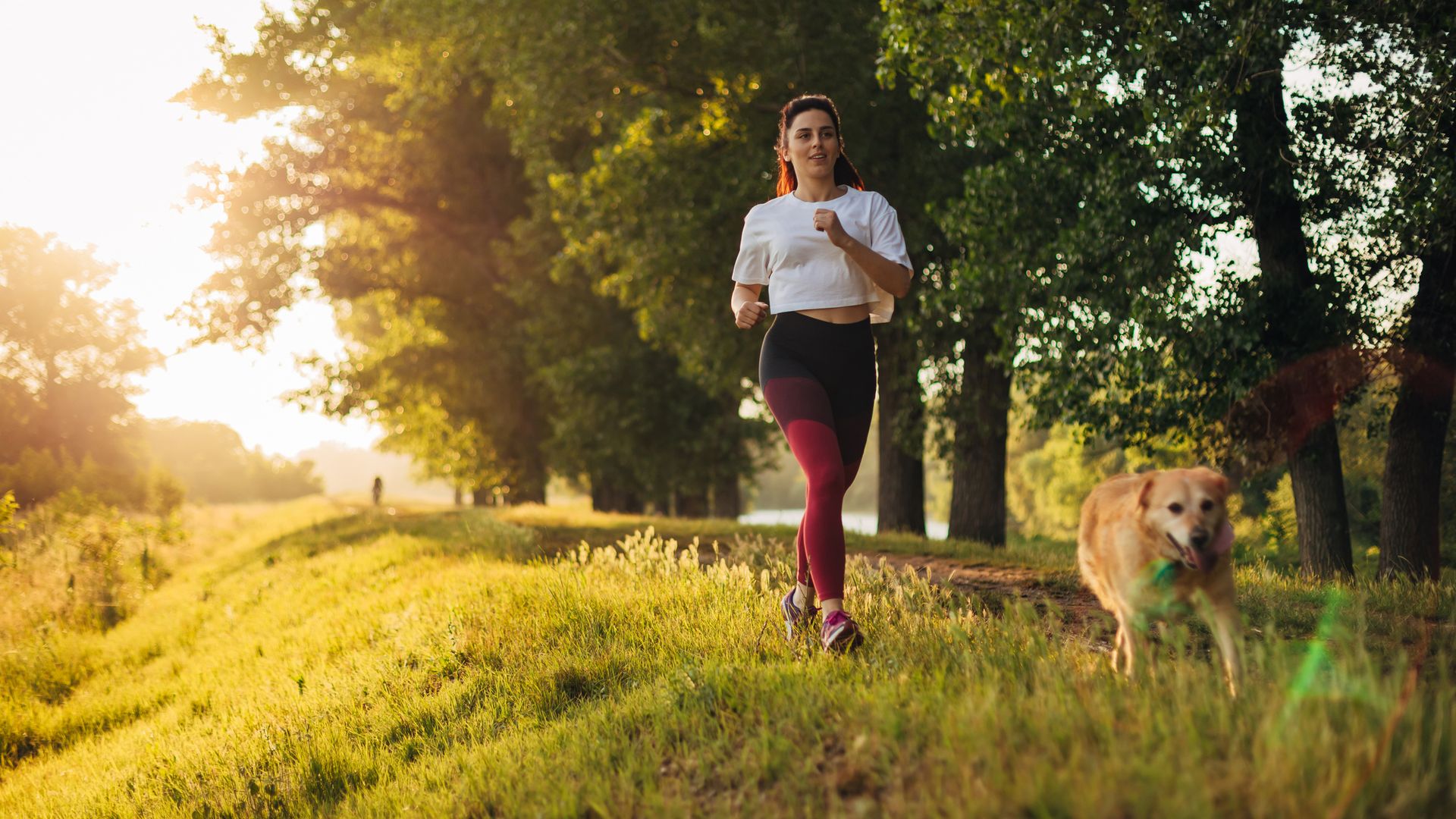 Looking for a running buddy? 7 'high endurance' dog breeds ranked