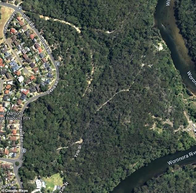 A developer tried to build a $3m mansion in bushland... what they did ...