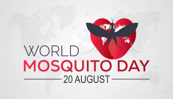 World Mosquito Day 2025: How To Protect Yourself From Mosquitoes ...