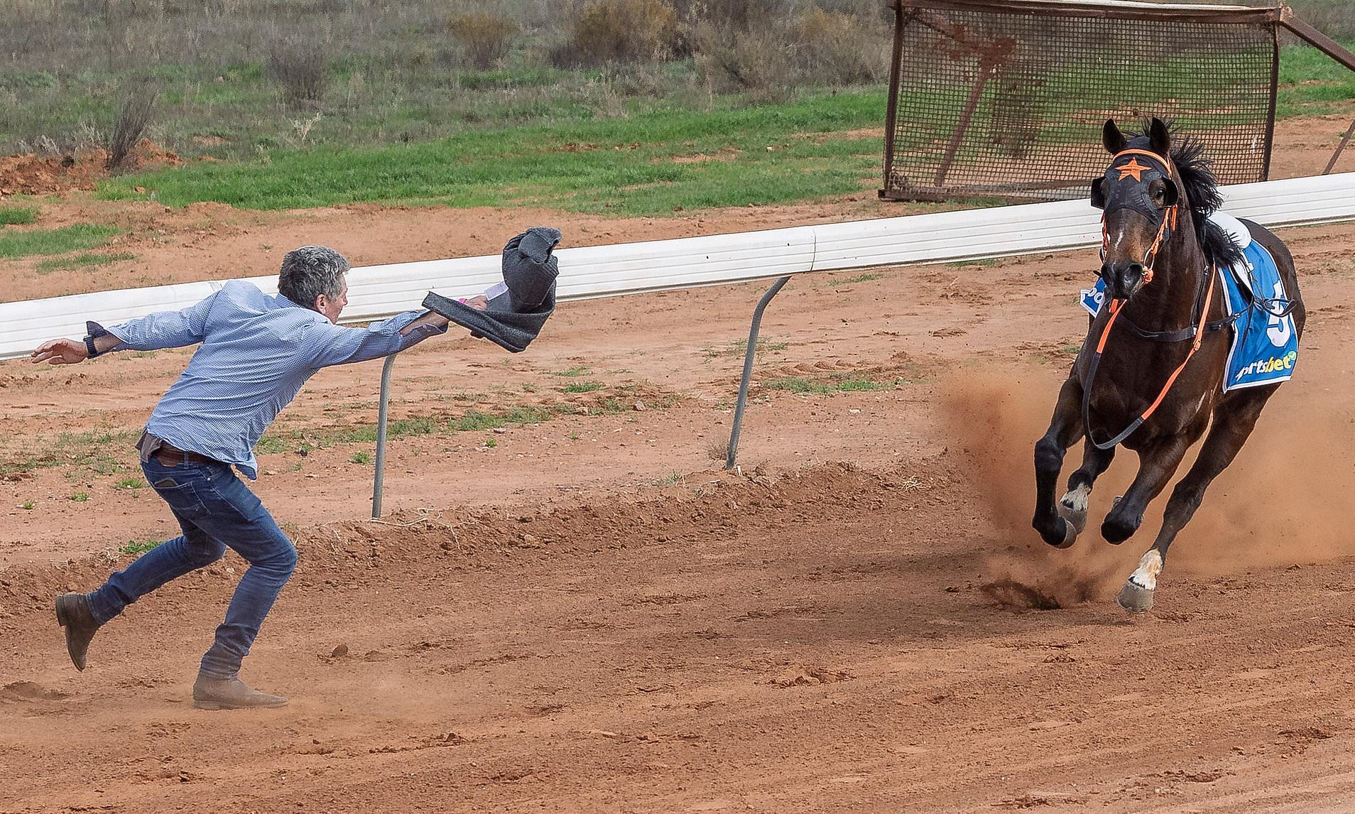 See hero horse trainer's WILD act as he risked his life to save others ...