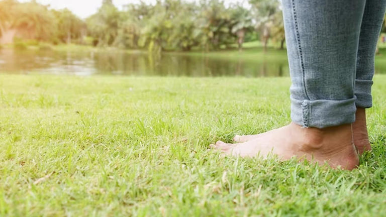 Does Walking Barefoot on Grass Really Reduce Stress? All About This New ...