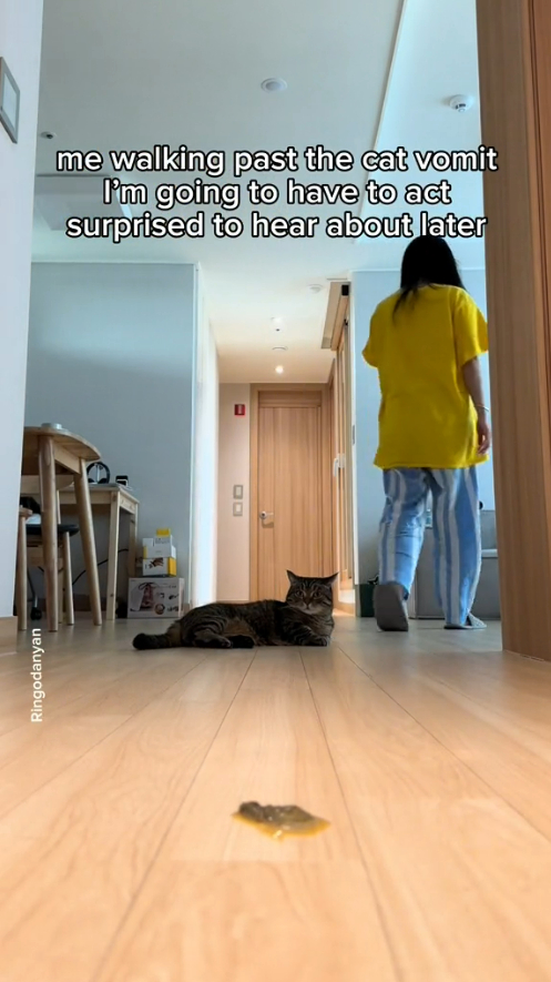 Strategic Ignoring: Letting Hubby Handle the Cat’s Mess