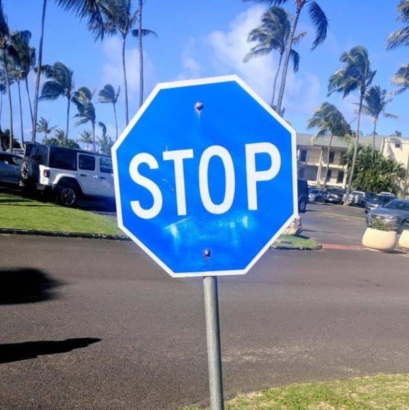 Ridiculous Road Signs Spotted All Over The World