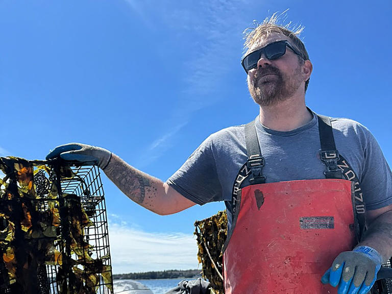 Maine oysterman Graham Platner enters race to challenge Sen. Susan Collins