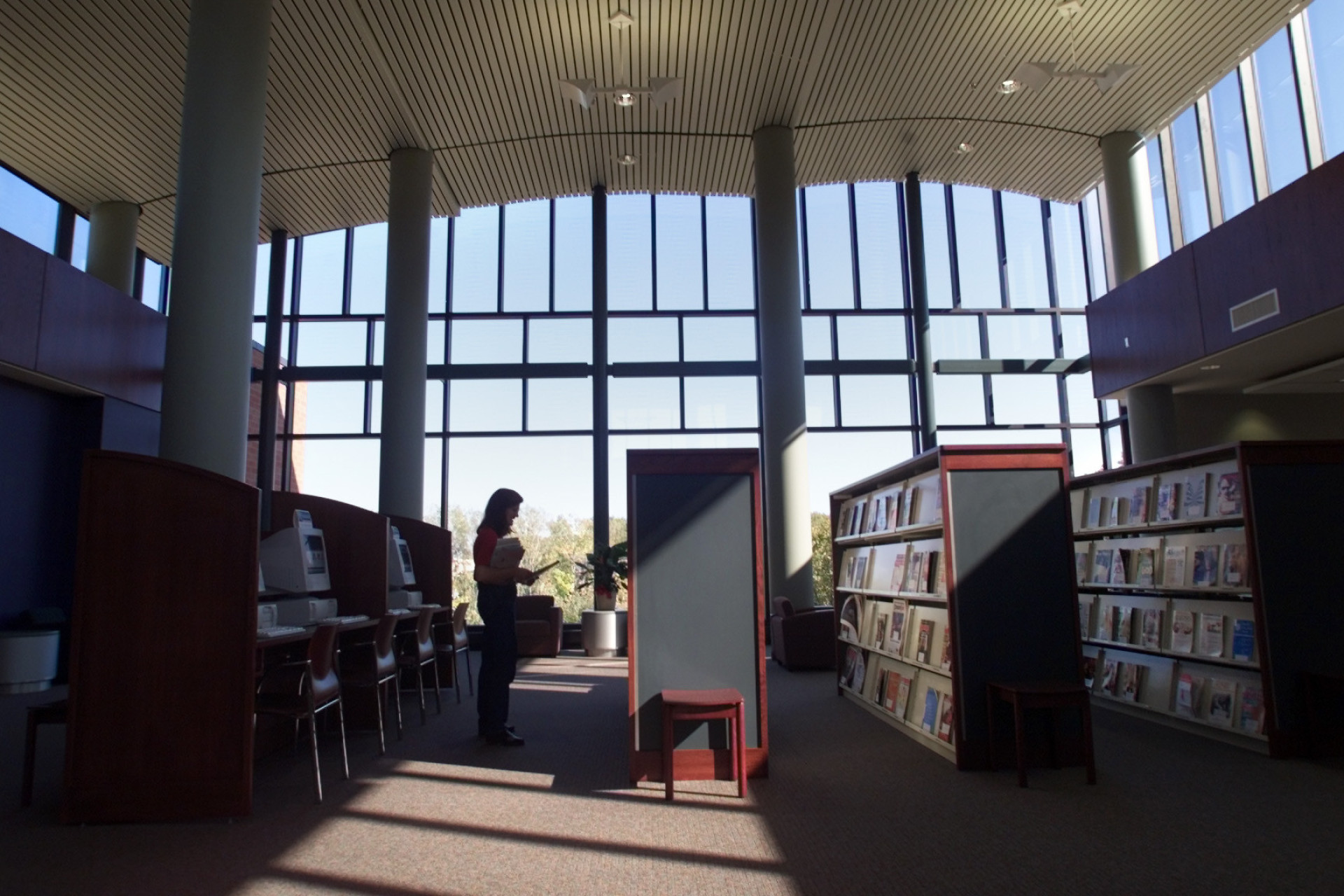 The Flynn effect: are we getting smarter?