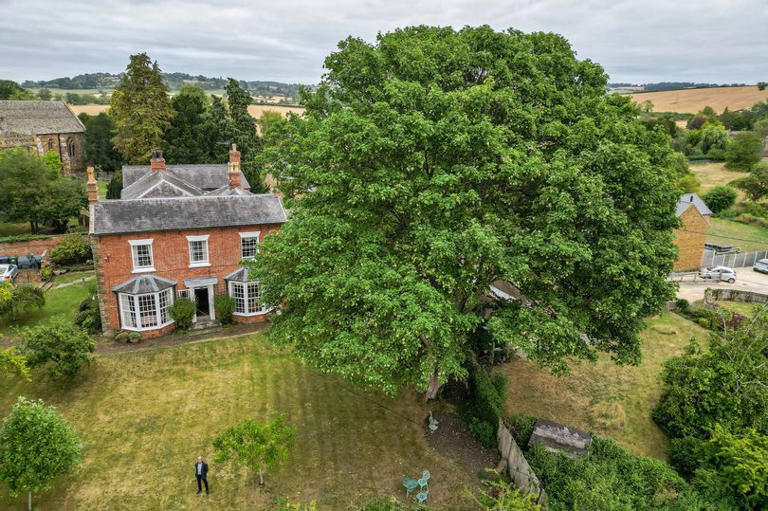£70,000 row over 250-year-old sycamore tree in quiet Warwickshire village