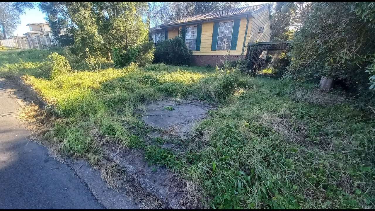 Voluntary yard cleanup turns neglected property into a neighborhood ...