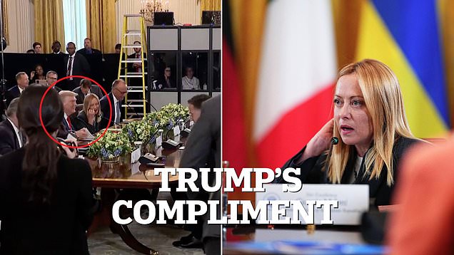 'You look fantastic': Donald Trump compliments Meloni at White House