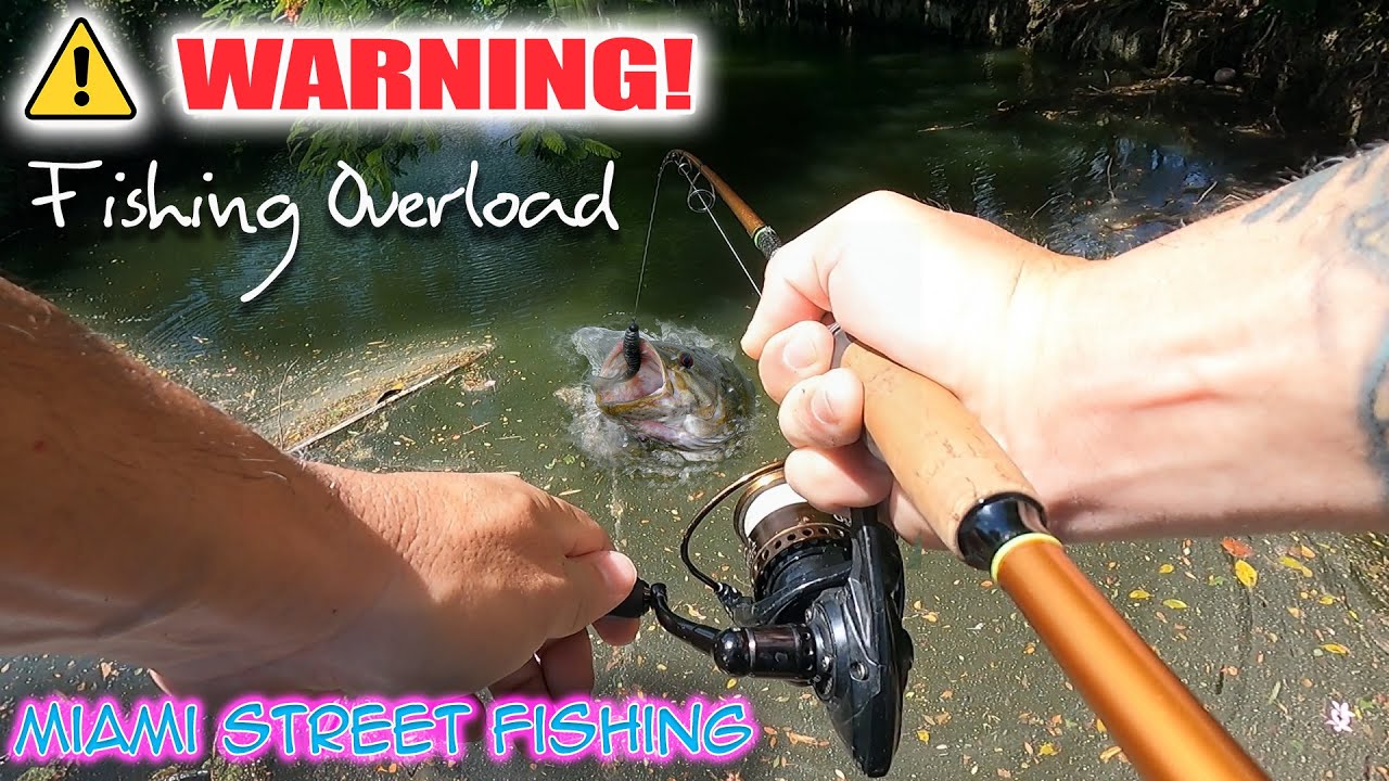 WARNING! Only Watch This if You’re Obsessed With Fishing