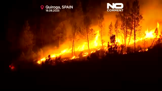 Worst wildfire season in decades burns over 340,000 hectares in Spain
