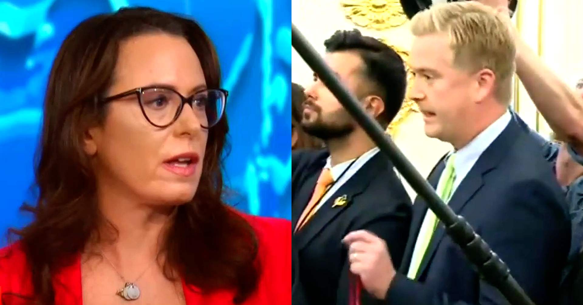Maggie Haberman Narrowly Defends Fox’s Peter Doocy After CNN Anchor ...