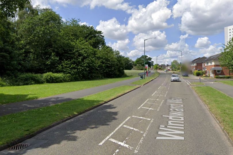 Dog killed in Solihull attack as police investigation launched