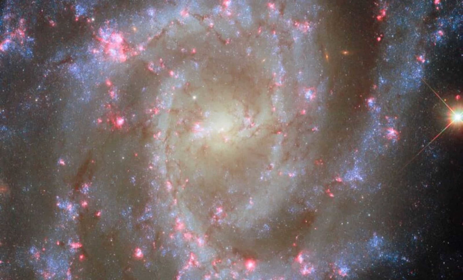 New Hubble Image Reveals Pink Nebulae in Spiral Galaxy 35 Million Light ...