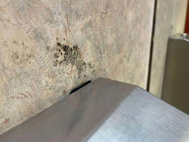 Mold outbreak at Harris County courthouses sickened judge, forced mass ...