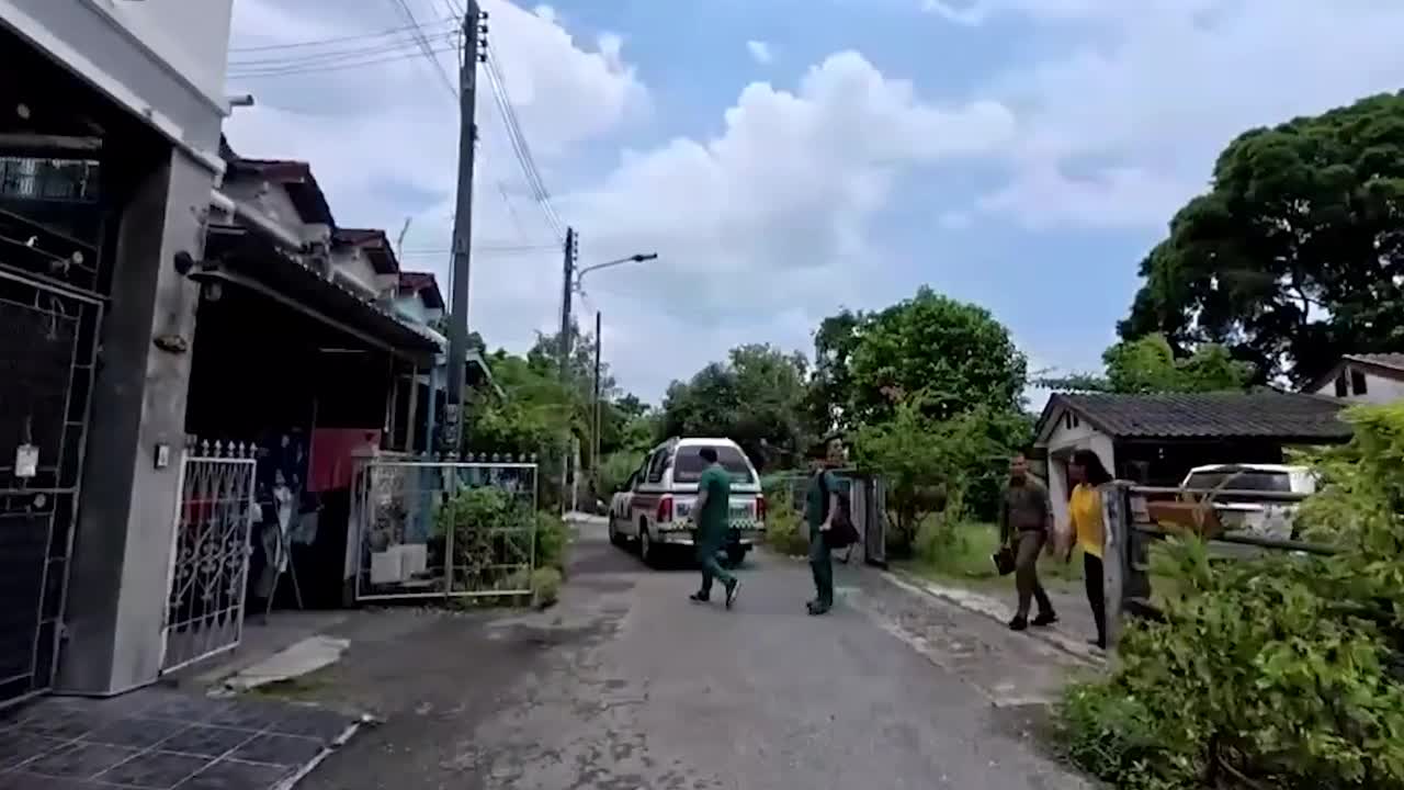 Grieving dog owner, 68, collapses and dies while digging grave for his ...