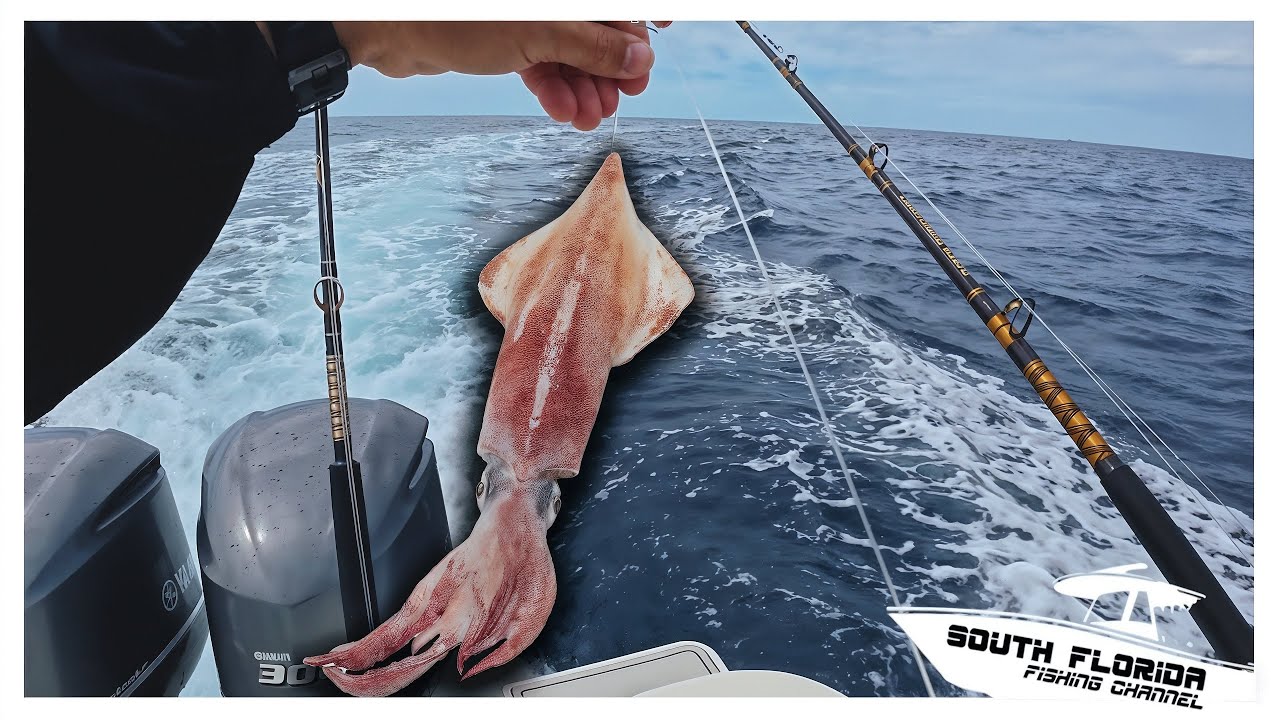 How to Rig Squid for Offshore Trolling and Big Catches