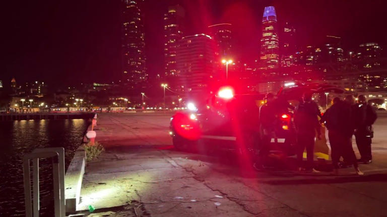 Man falls into San Francisco Bay trying to retrieve phone