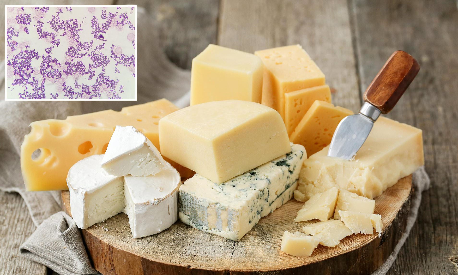 More than 5,000lbs of cheese recalled over fears of contamination with ...