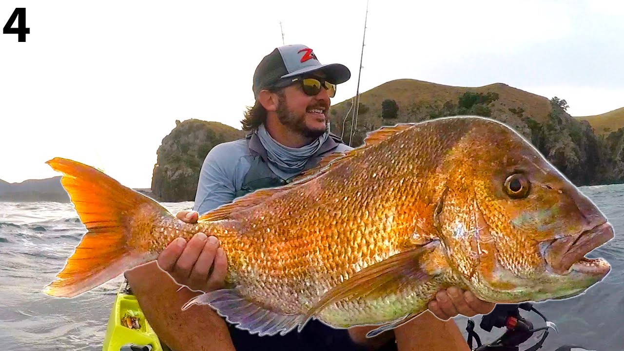 Epic Snapper Fishing From a Kayak - Catch and Cook in New Zealand