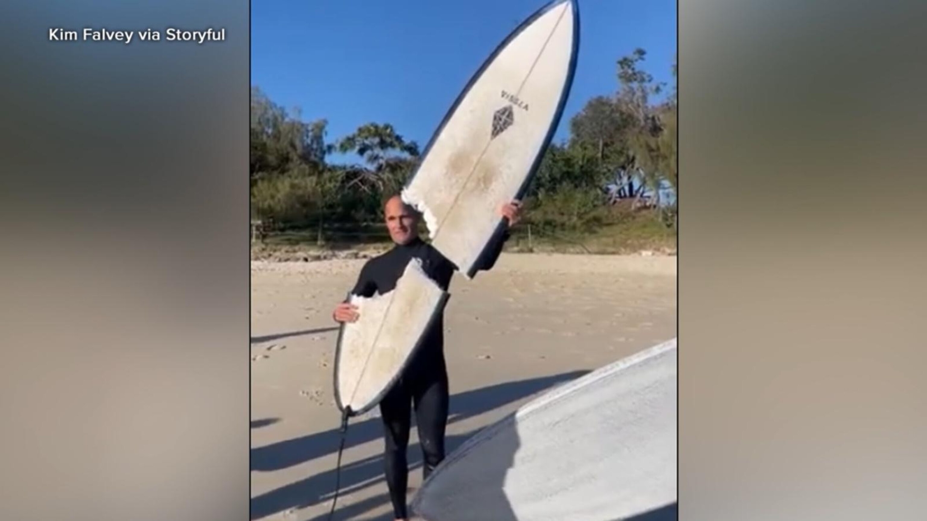 Shark takes bite out of surfboard