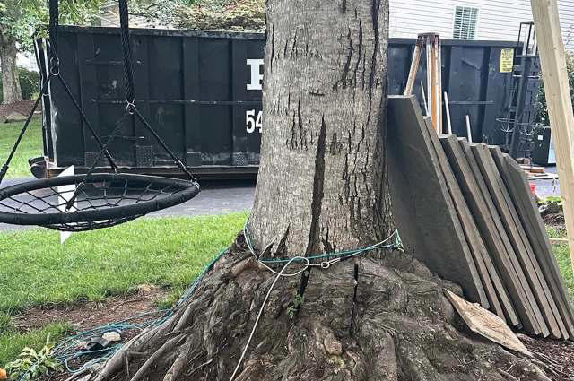 Homeowner met with warnings over concerning landscaping plan: 'Bad idea ...