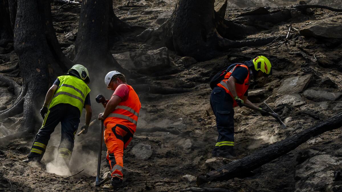 Face au risque d'incendie: Les feux en plein air interdits en Valais ...