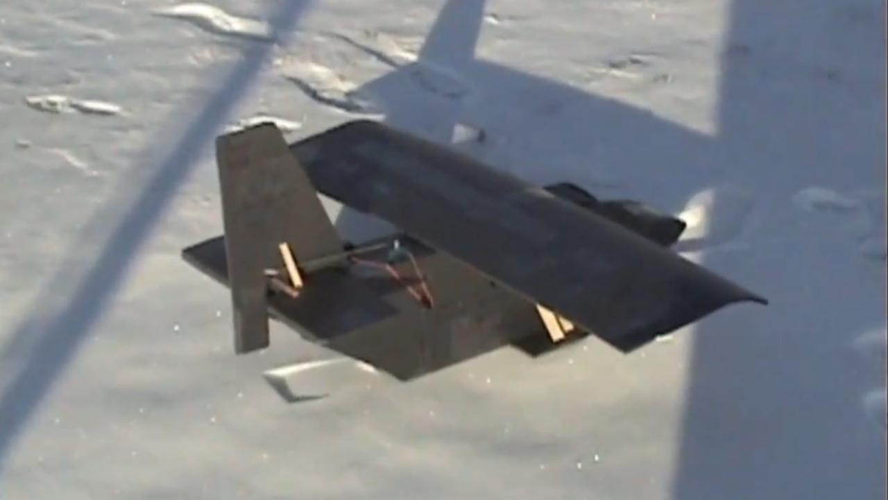 Snow Bird RC Plane Takes Its Maiden Flight