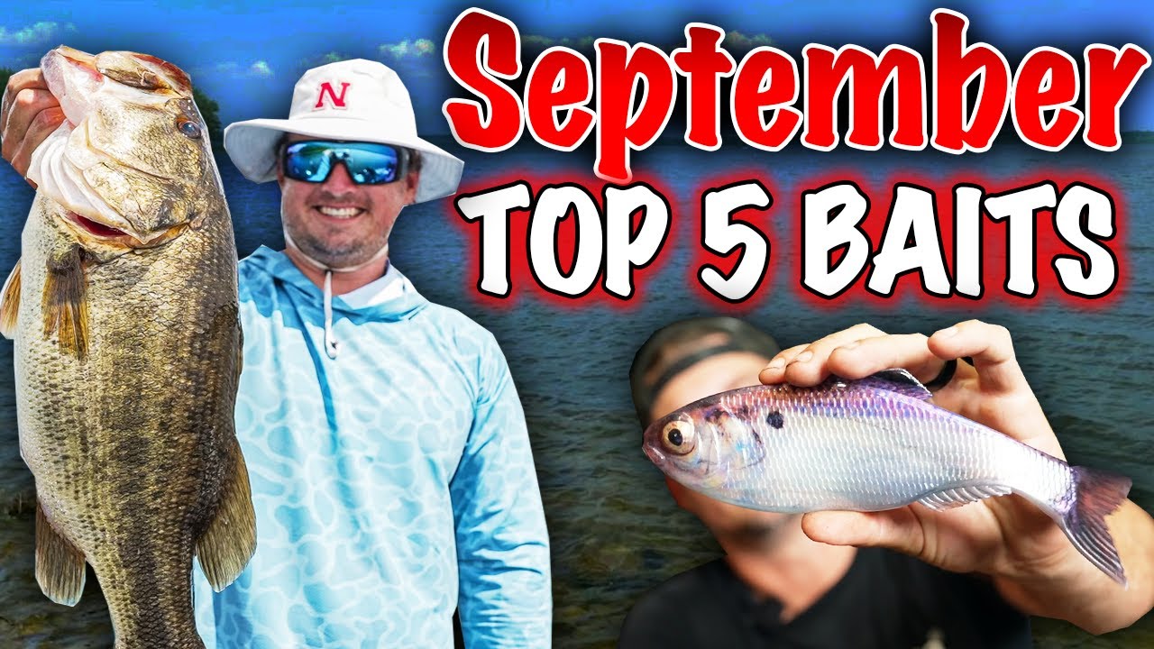 The top 5 baits to outfish everyone