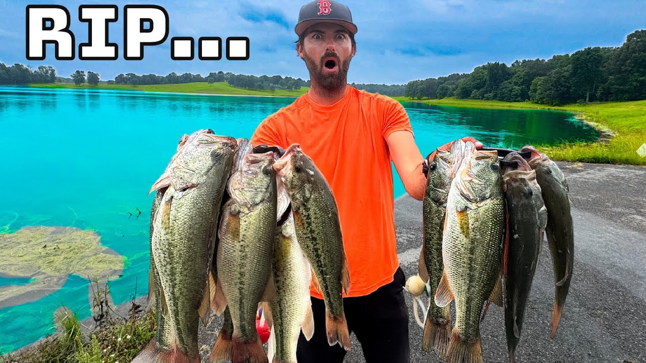 Find out why officials wanted 1,500 bass gone immediately
