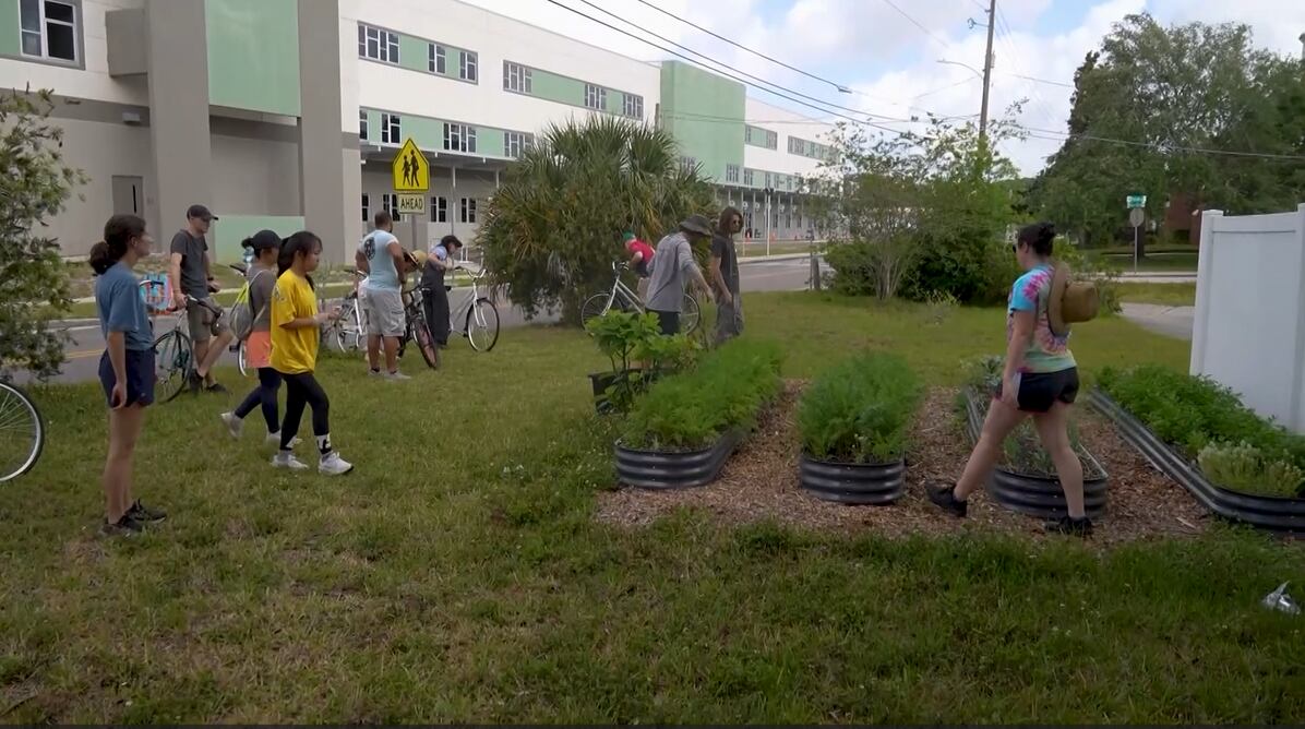 Beyond Sustainability Basics: What Really Makes an Impact?