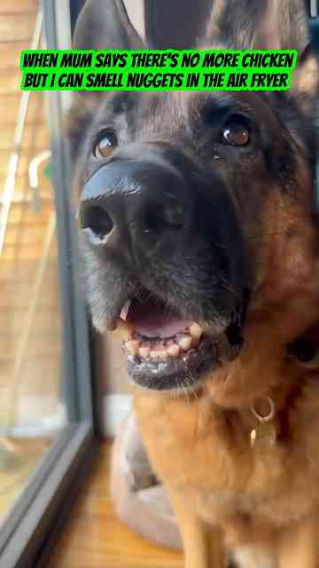 That Moment Mum Says No Chicken but Nuggets Are Calling!
