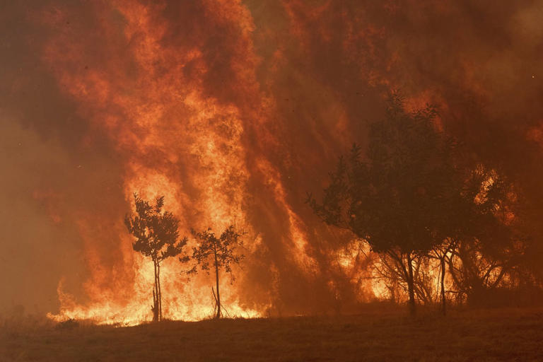 Spain battles one of its most destructive fire seasons even as its heat ...