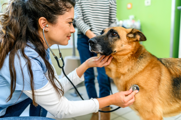 Dog Coughing After Drinking Water? Here’s What Vets Want You to Know