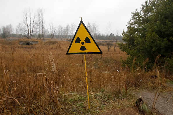 Mutant animals living in Chernobyl are developing ‘super powers’