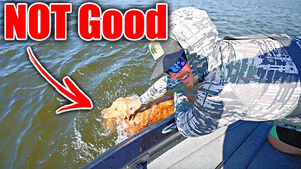 Priorities immediately change on action-packed fishing trip