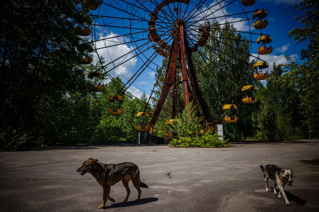 Mutant animals living in Chernobyl are developing ‘super powers’