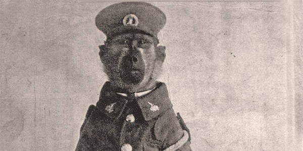 Meet Jackie – the baboon, that got promoted to Corporal and honored ...