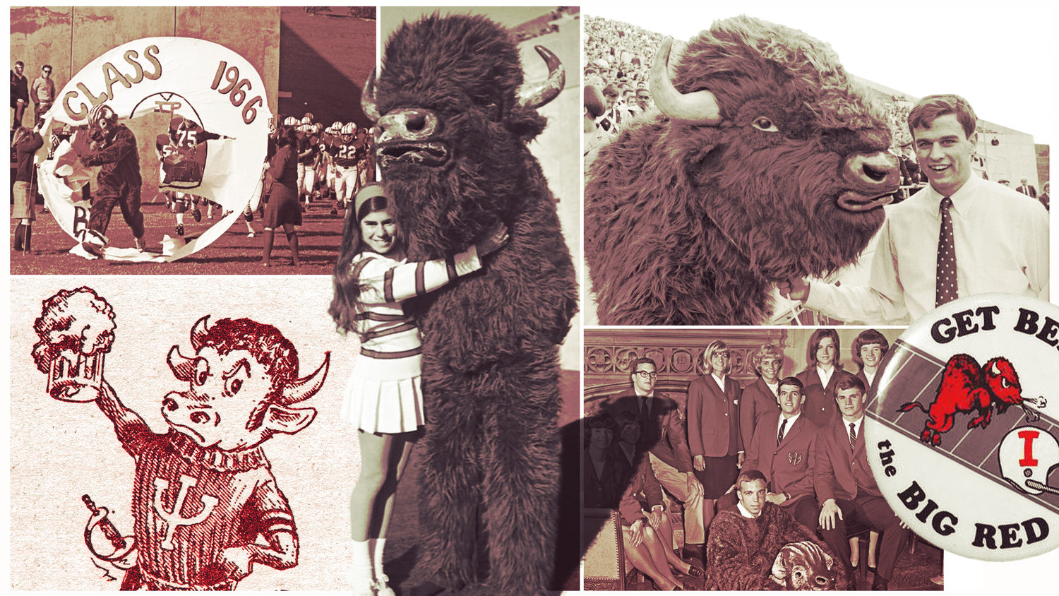 How Indiana lost, remembered, and revived its 50-year-old bison mascot