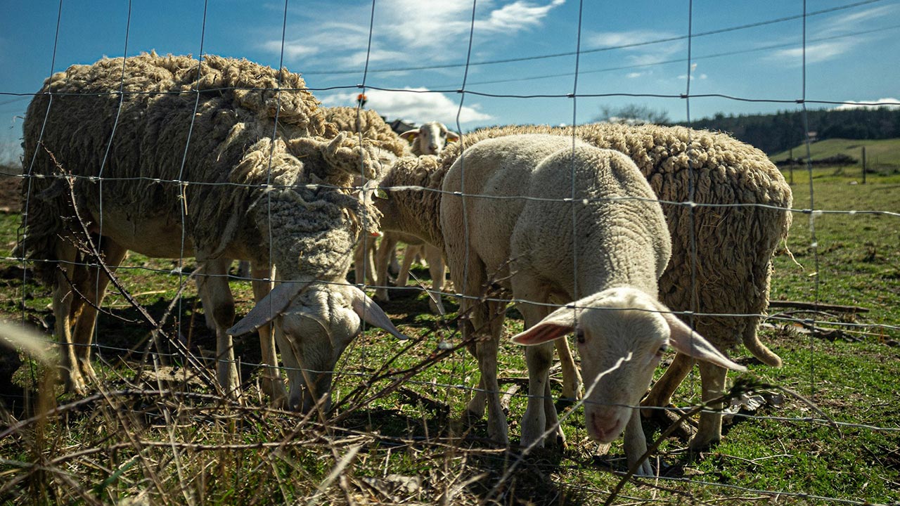 10 rookie mistakes that make neighbors question your setup