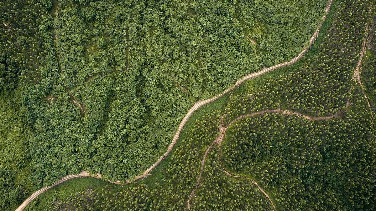 Centre mulls voluntary relocation of people from biodiversity-rich ...