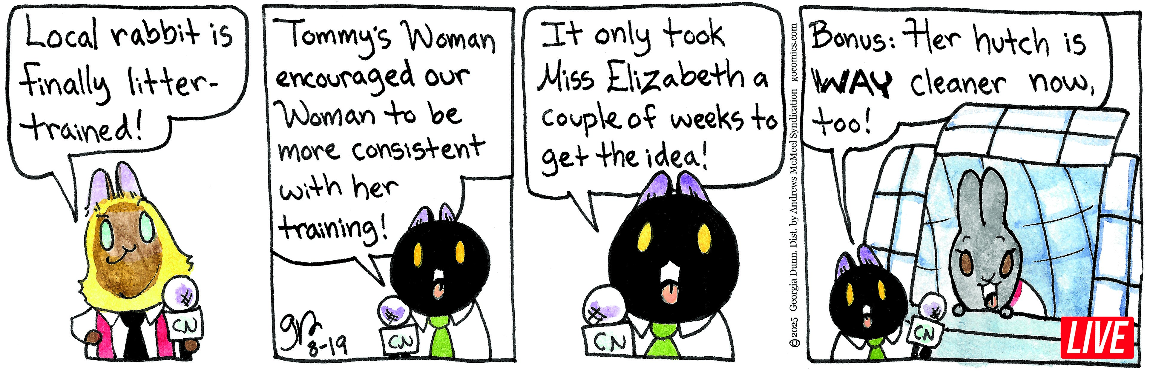 Breaking Cat News by Georgia Dunn