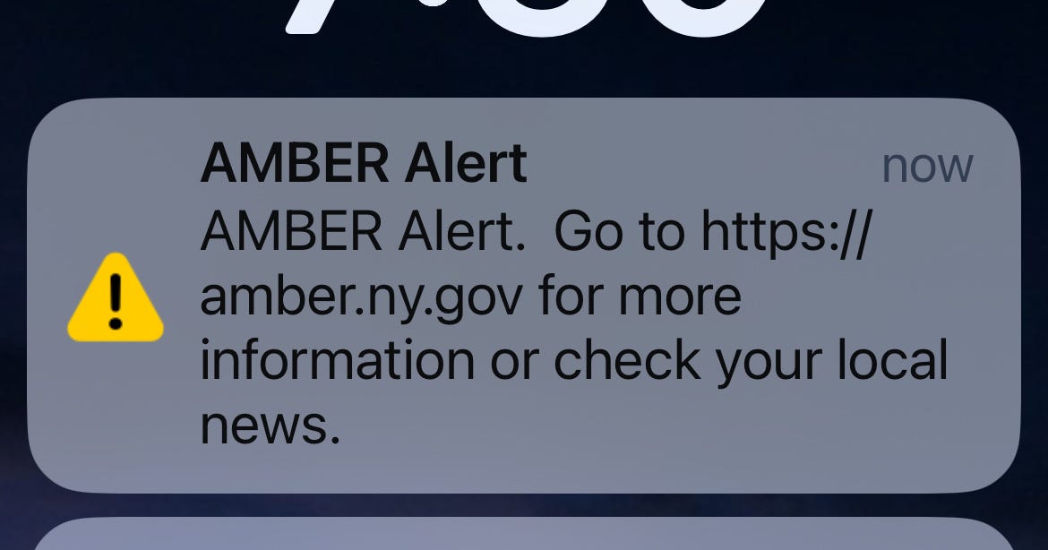 Amber Alert in Georgia for children taken in Florida. What they're ...