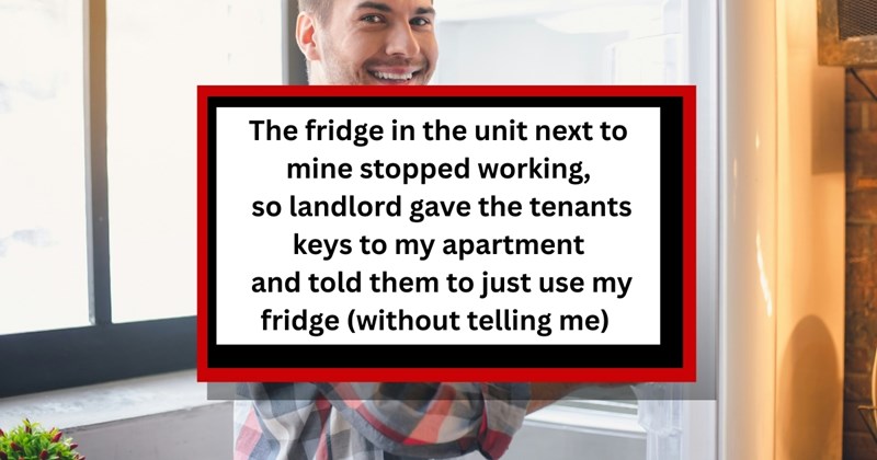 20+ Landlords who refused to solve their tenants' household issues: 'My landlord said, "Just don ...