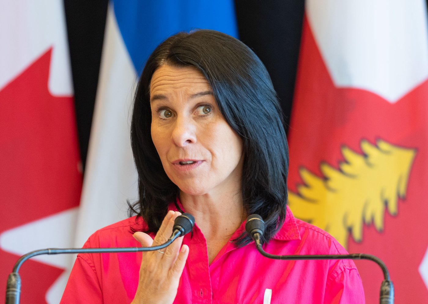 Montreal mayor wants Quebec government to appoint a homelessness minister