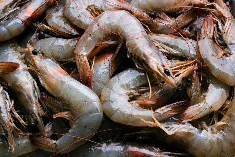 FDA warns of frozen shrimp sold at Walmart with possible radioactive ...