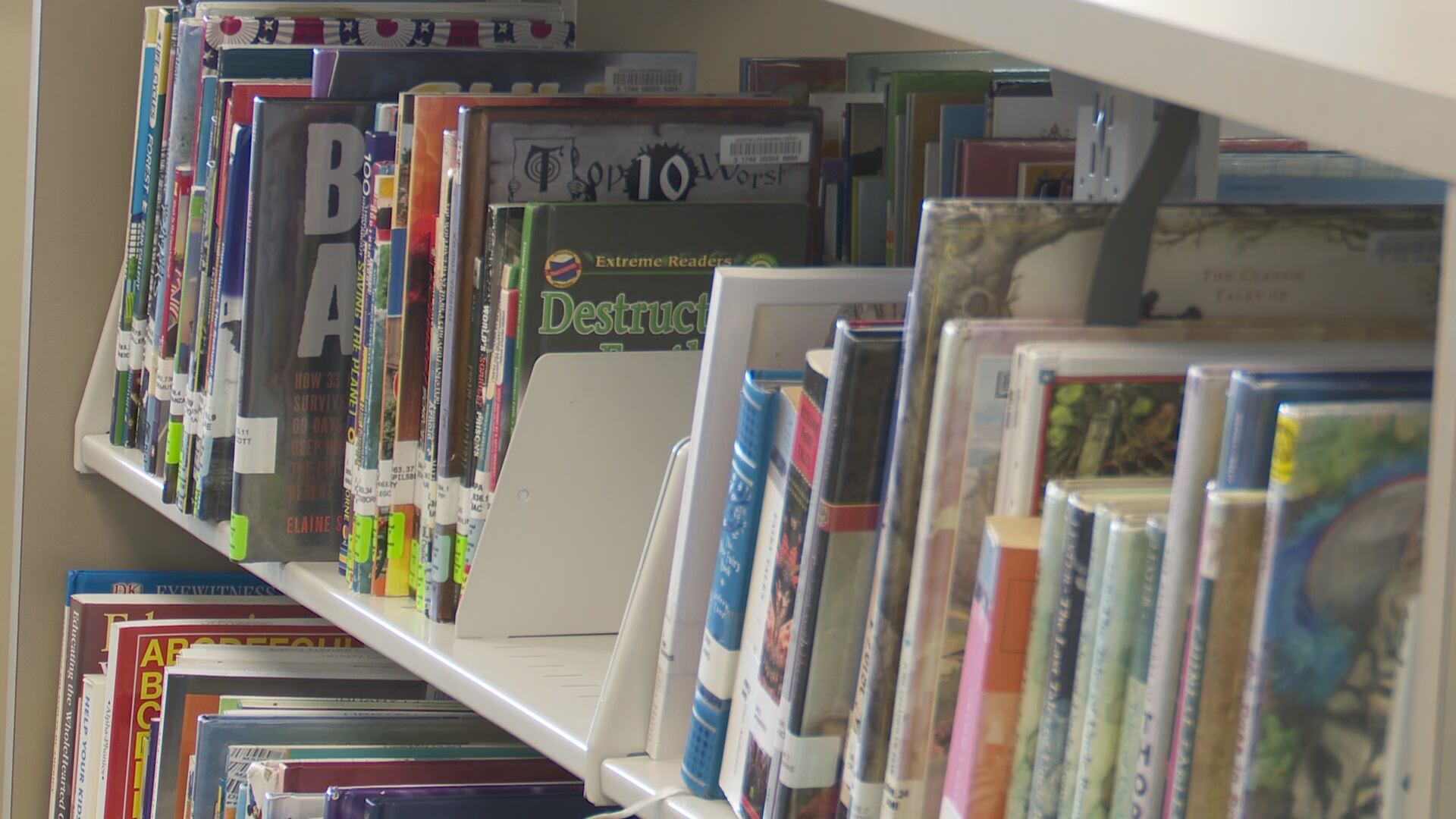 How did area 3rd graders do on the 2024-2025 ACAP reading test?