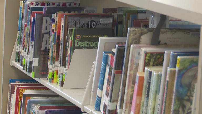 How did area 3rd graders do on the 2024-2025 ACAP reading test?